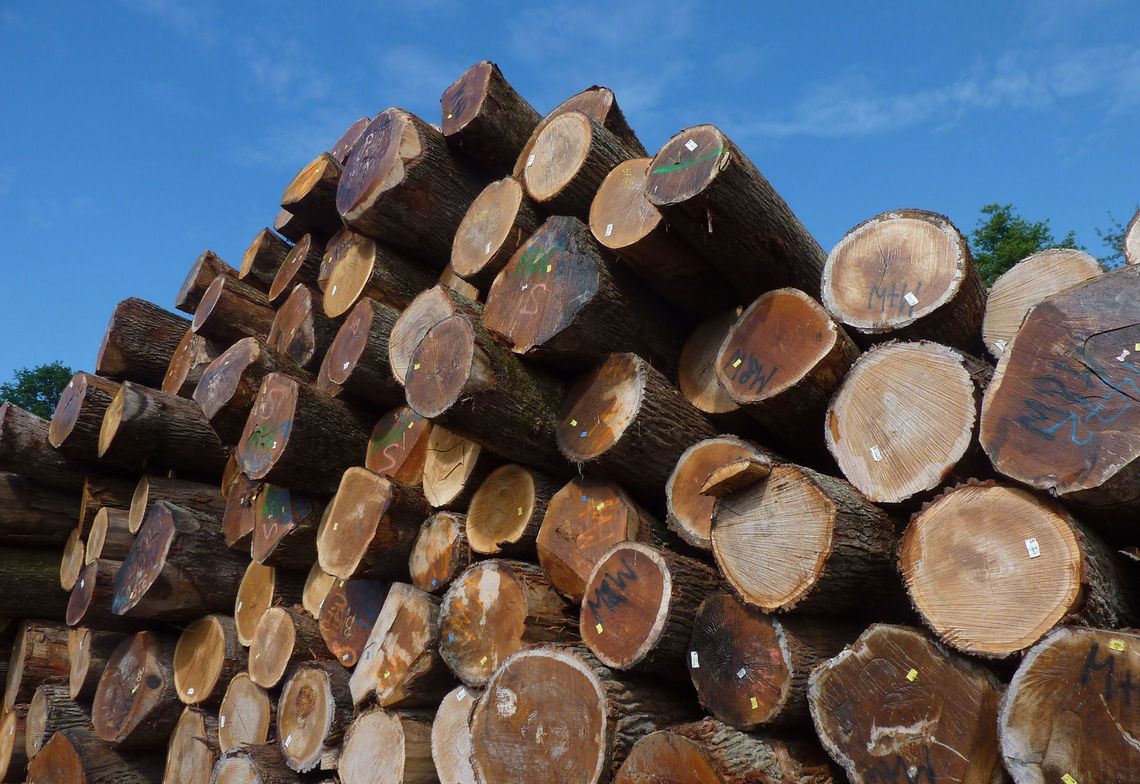 Showcasing character and life history by creating solid-wood furniture